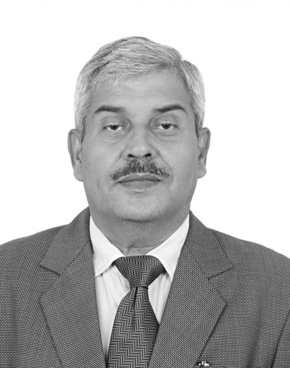 Schedule - Wood+ In Architecture And Design (WAD)